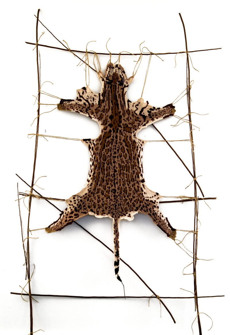 Artist Spotlight: Ruth Marshall Inspired by Endangered Animals ...