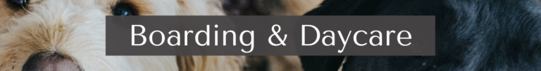 Hunterdon County Dog Owner's Guide | Boarding, Grooming, Parks & More ...
